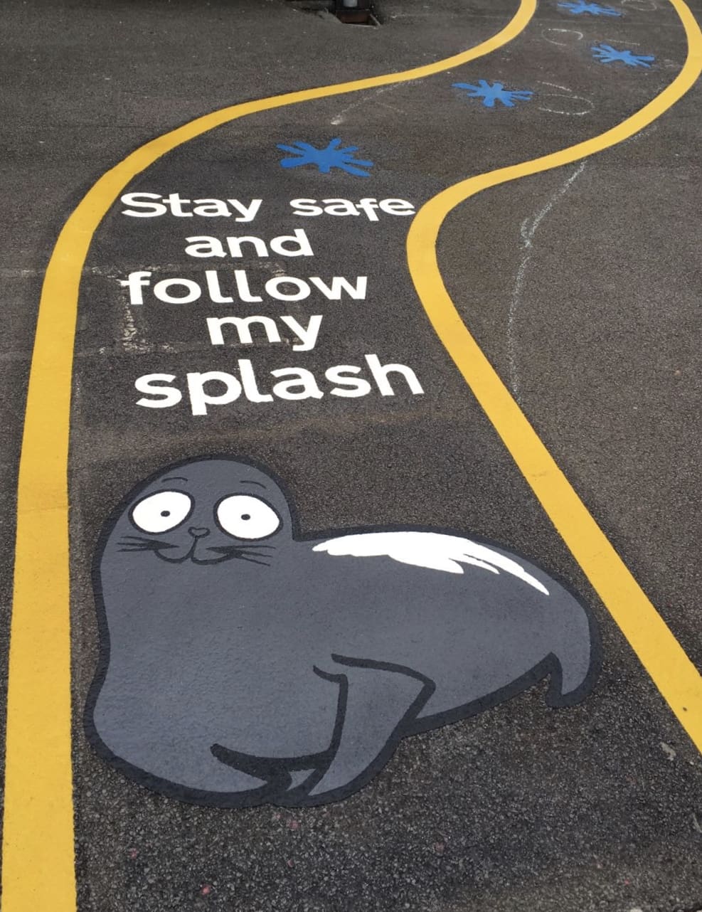 Educational Surface Marking | Touchline Marking